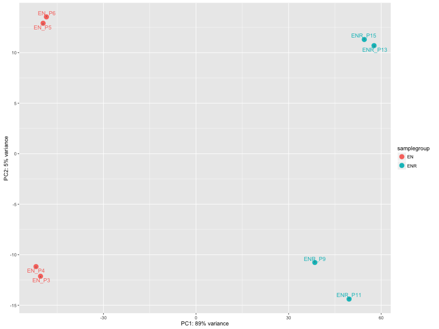 QC methods for DE analysis using DESeq2 | Introduction to DGE