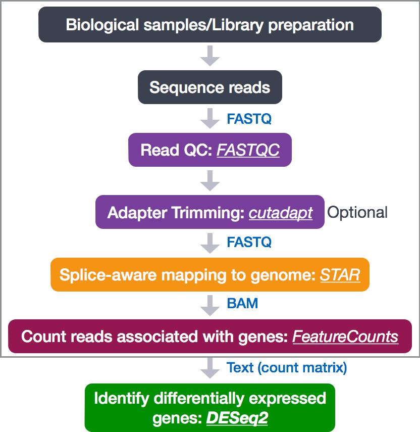 What Is Differential Gene Expression At Jason Davies Blog What Is Differential Gene Expression At Jason Davies Blog