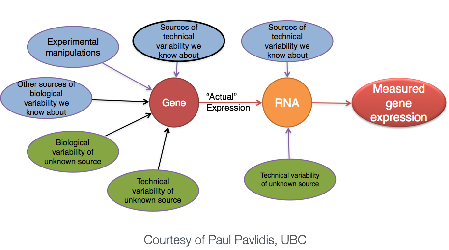Learning Objectives Introduction To Rna Seq Using High Performance Computing Archived