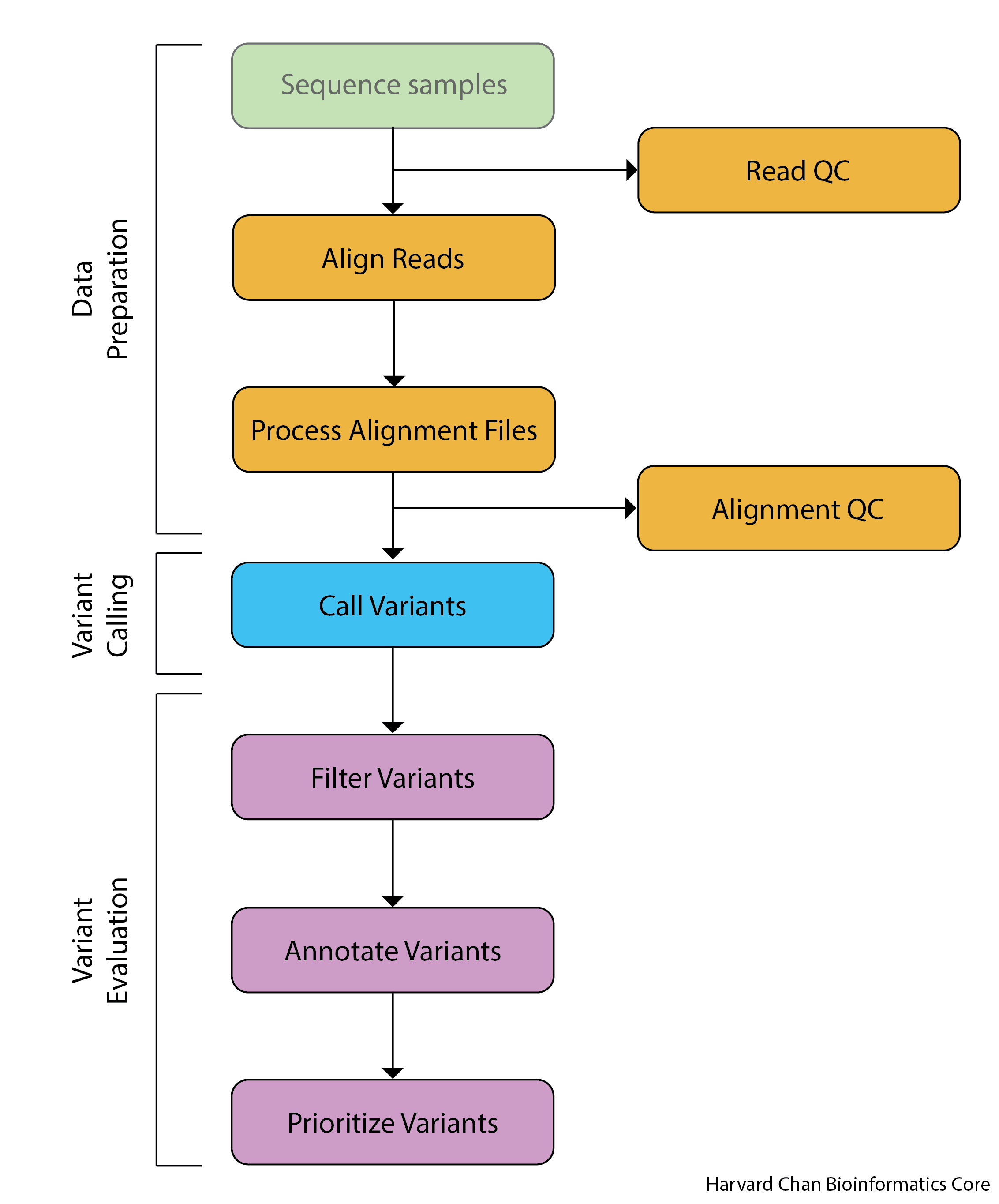Introduction into Variant Analysis | Variant Analysis